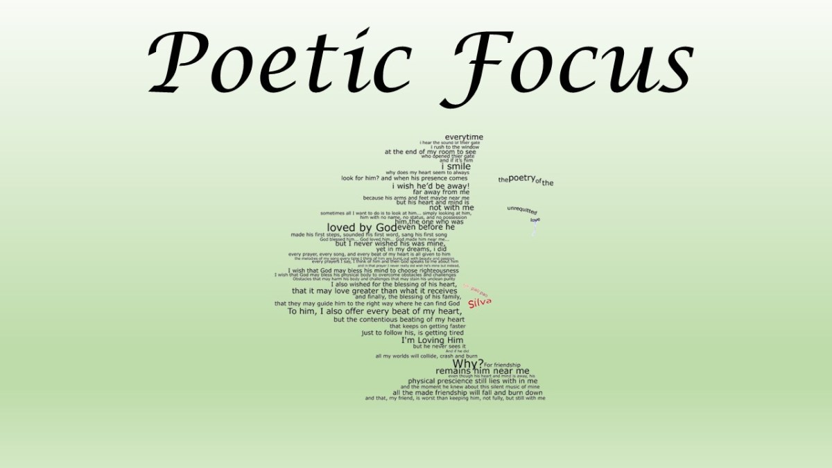 Poetic Focus | Through One Lens